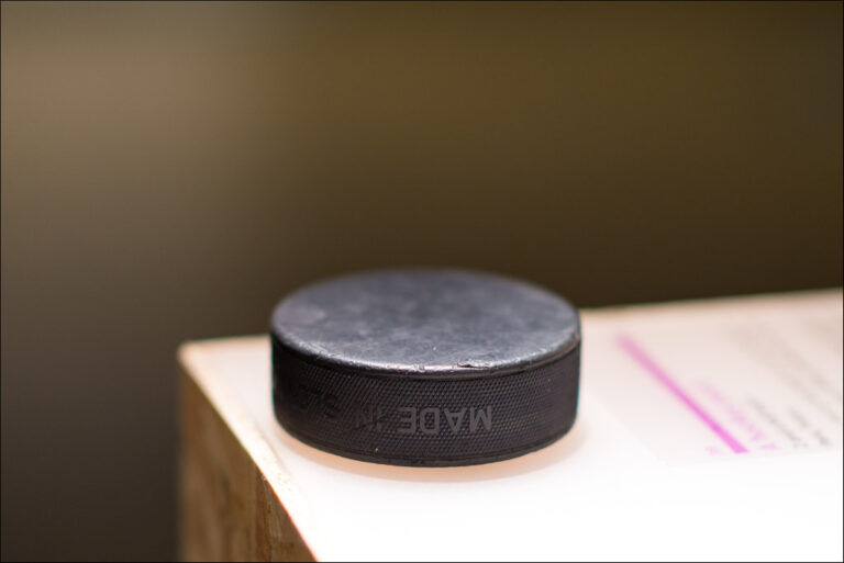 Understanding the Mold Design in Hockey Puck Production – einfacheidee.com